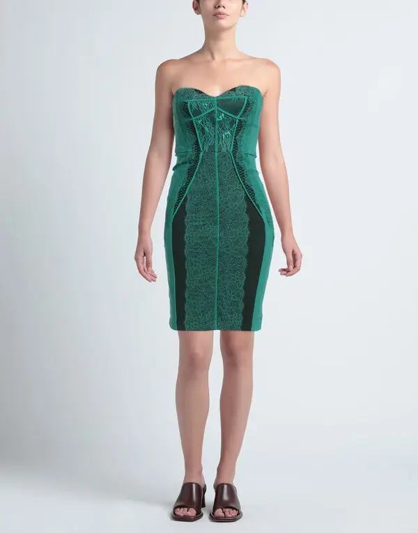 Elisabetta Franchi Mini Dress