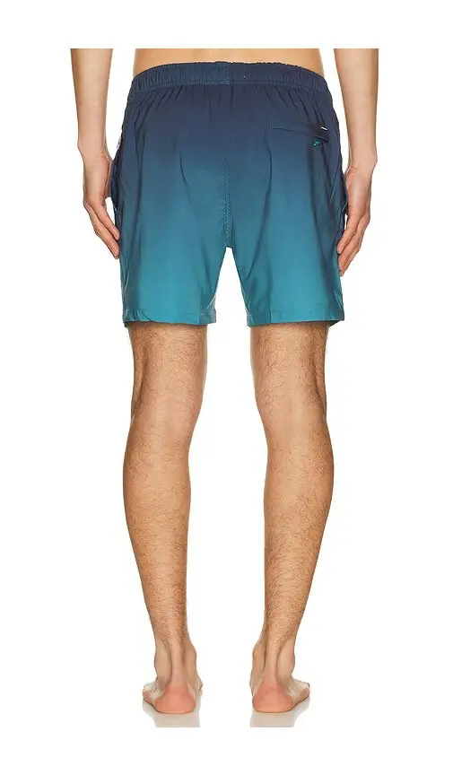 VINTAGE SUMMER Performance Stretch Lined Volleys - Dark Teal