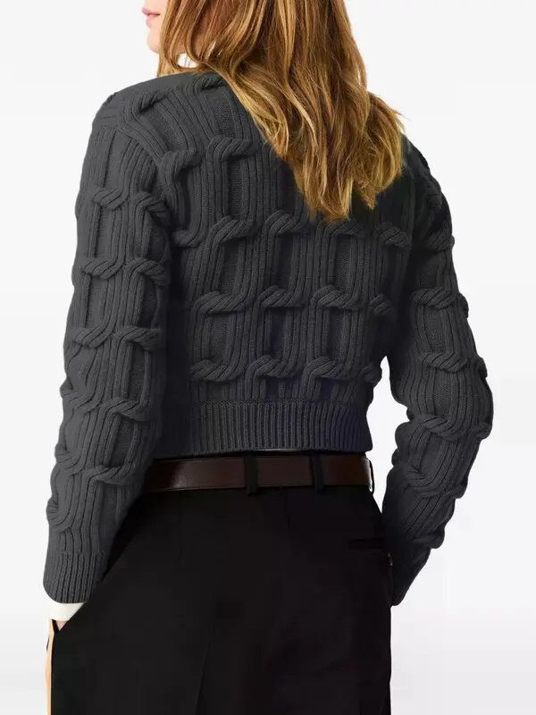 Stella McCartney Crew Neck Knitted Sweater