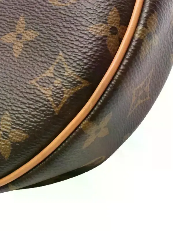 LOUIS VUITTON 2010-2026 Monogram Loop Shoulder Bag