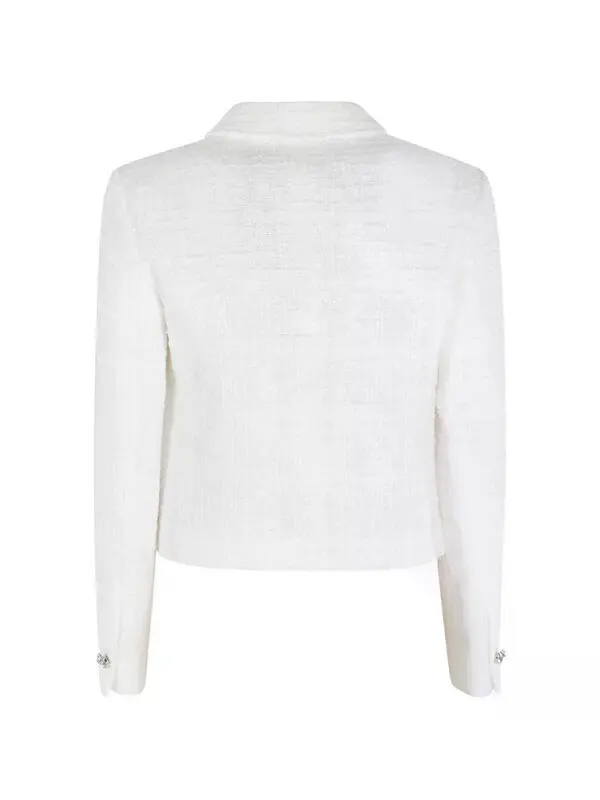 Tagliatore Button-embellished Jacket