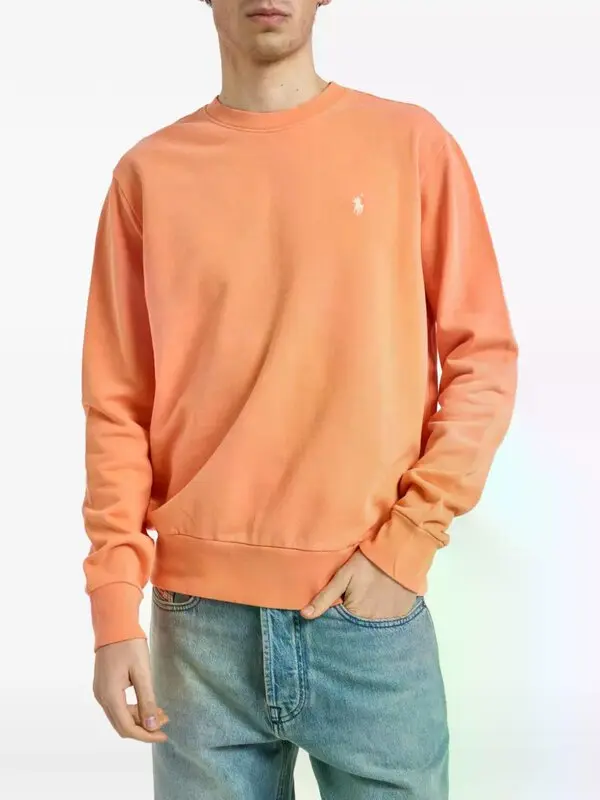 Polo Ralph Lauren Loopback Terry Sweatshirt