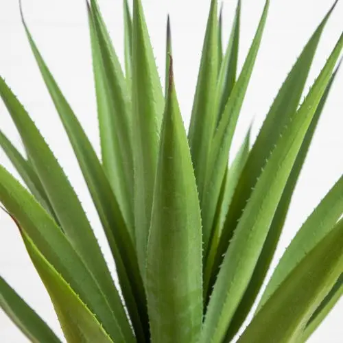 NEARLY NATURAL 27-in Uv Resistant Artificial Agave Plant In White Tower Planter