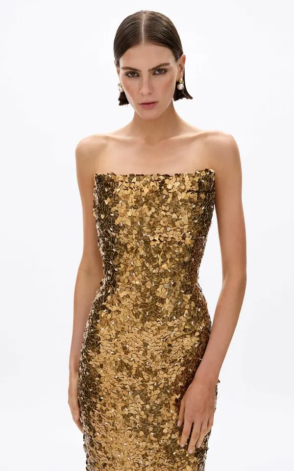 Rachel Gilbert Karter Sequined Gown