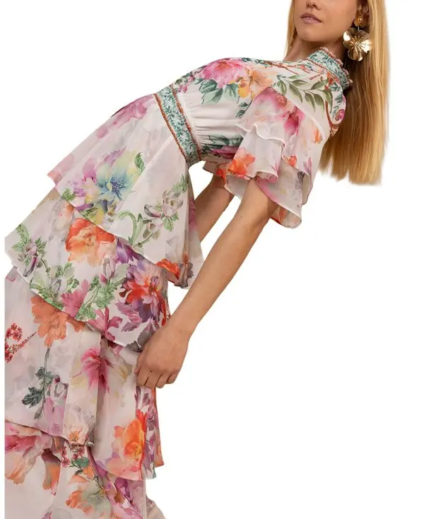 Hale Bob Itzayana Chiffon Maxi Dress
