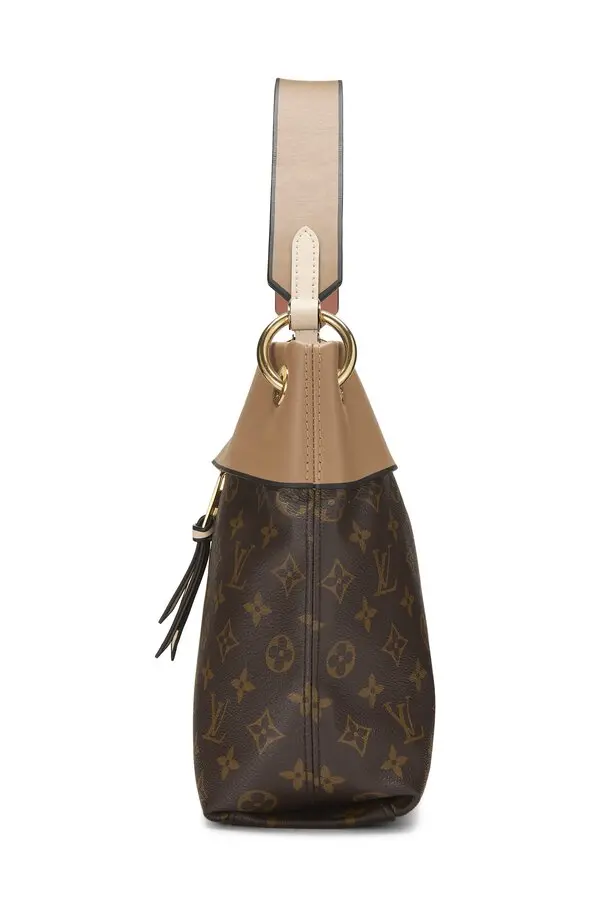 LOUIS VUITTON Monogram Tuileries Besace
