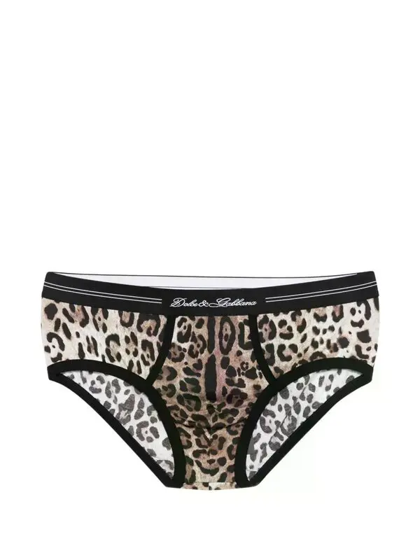 Dolce & Gabbana Leopard-print Briefs - Neutrals