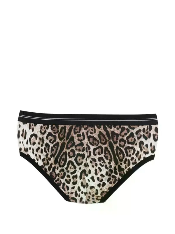 Dolce & Gabbana Leopard-print Briefs