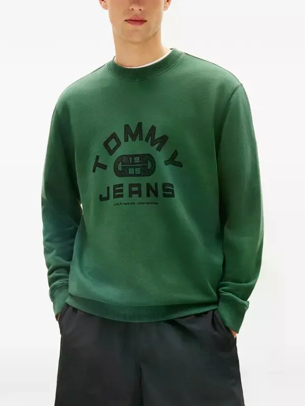 Tommy Hilfiger Graphic Crewneck Jumper