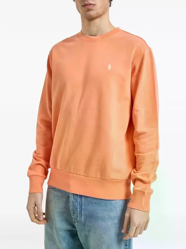 Polo Ralph Lauren Loopback Terry Sweatshirt