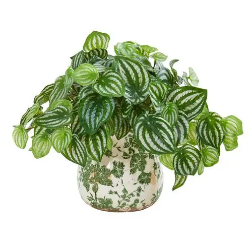 NEARLY NATURAL Watermelon Peperomia Artificial Plant In Vase - Green