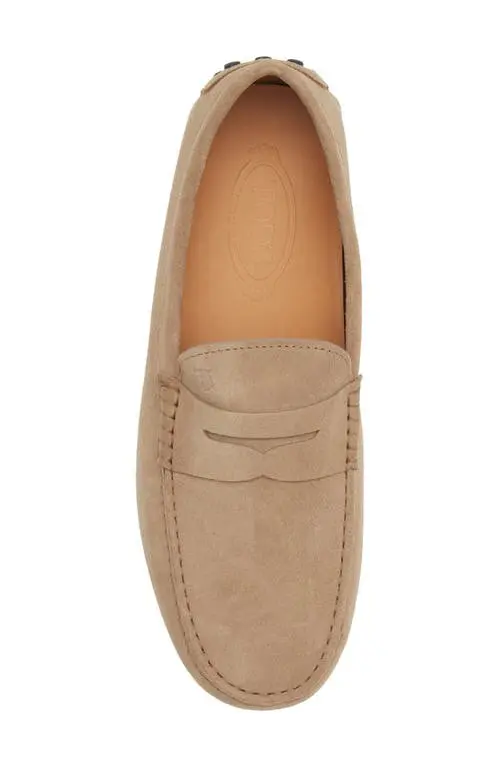 TOD'S Penny Loafer Driving Shoe - Biscotto