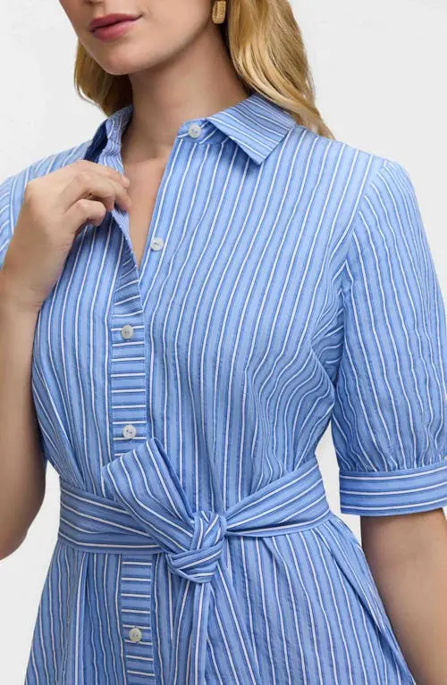 Foxcroft Esther Belted Stripe Cotton Shirt Dress