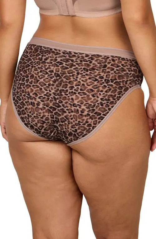 CURVY COUTURE No-show Lace High Cut Panties - Leopard Lush