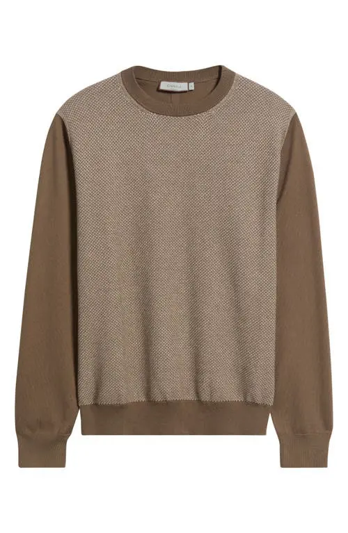 Canali Cotton Crewneck Sweater