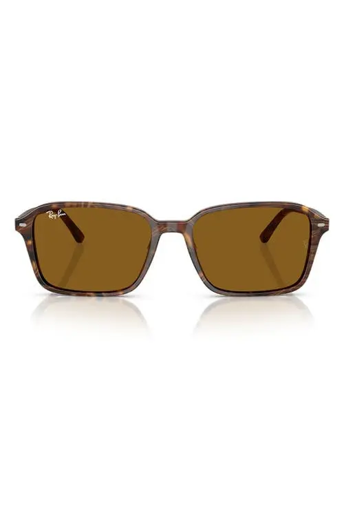 Ray-ban 56mm Square Sunglasses - Brown