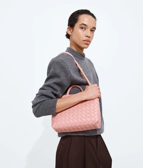Bottega Veneta Small Andiamo - Blush
