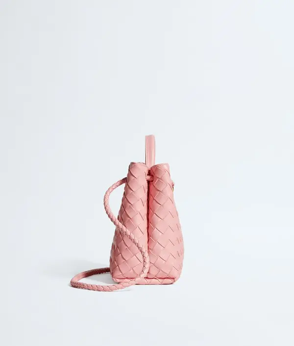 Bottega Veneta Small Andiamo - Blush