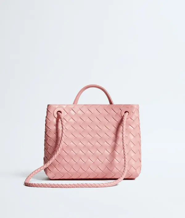 Bottega Veneta Small Andiamo - Blush