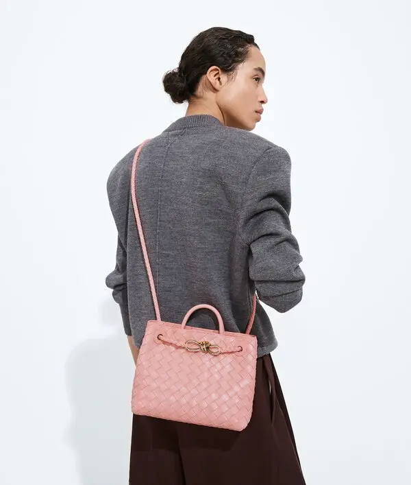 Bottega Veneta Small Andiamo - Blush