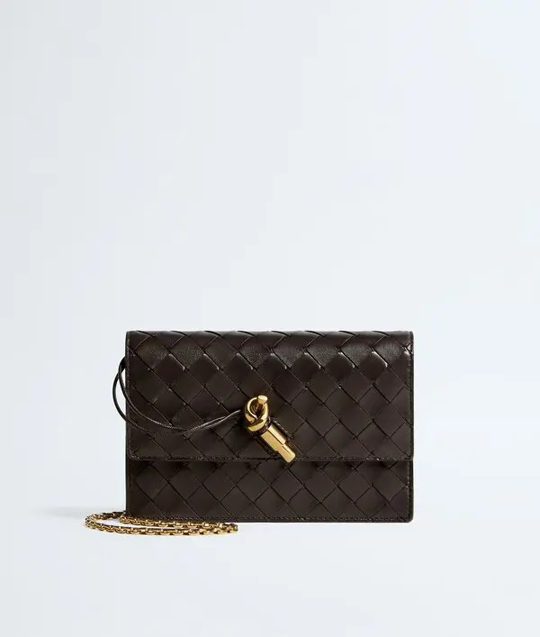 Bottega Veneta Andiamo Pouch On Chain - Fondant