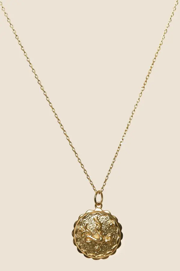 Rixo Zodiac Capricorn Necklace