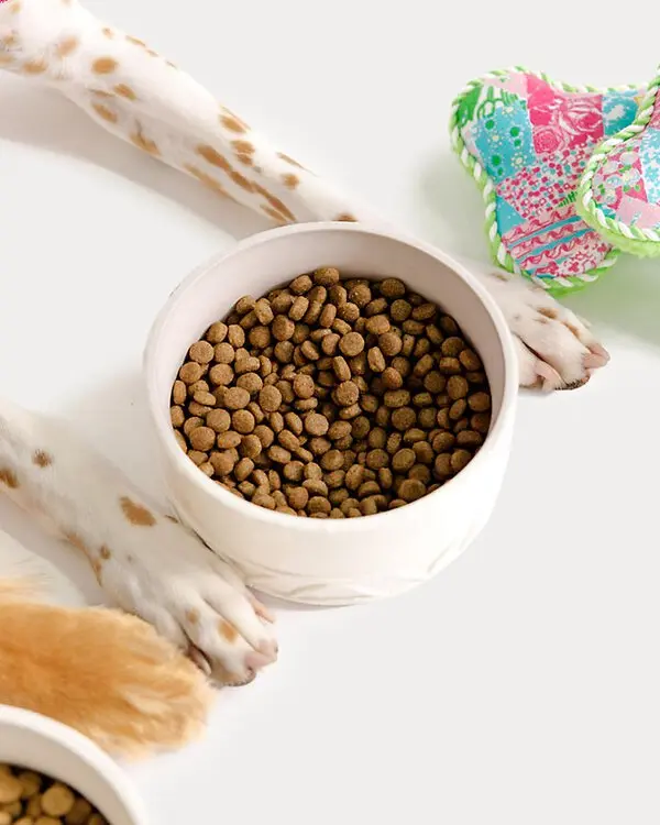 LILLY PULITZER Pet Bowl