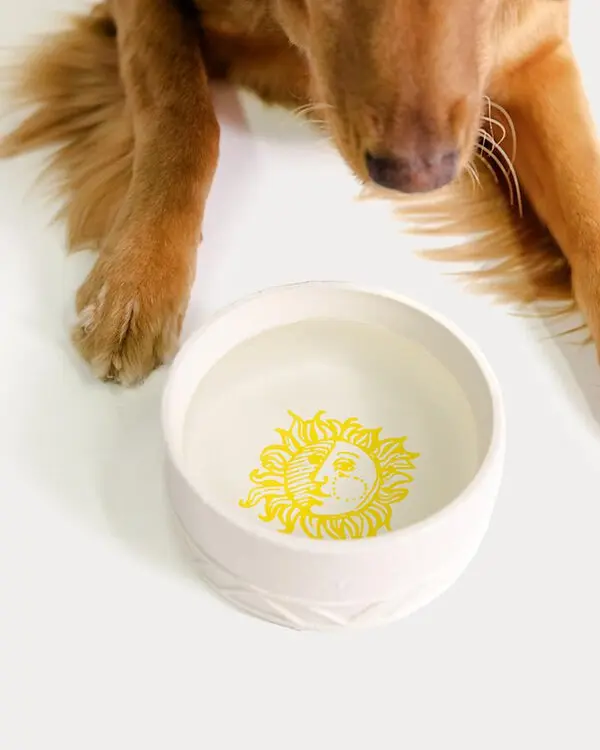 Lilly Pulitzer® Ceramic Pet Bowl - Multicolor