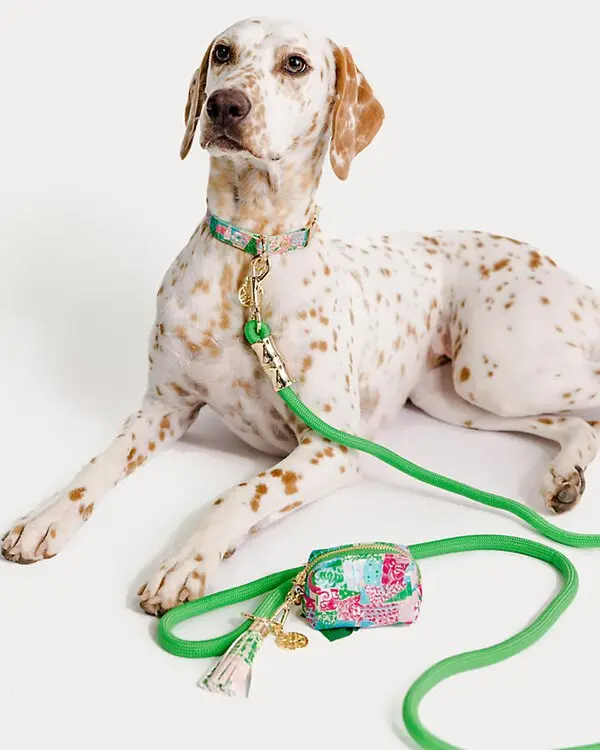 Lilly Pulitzer® Braided Pet Leash