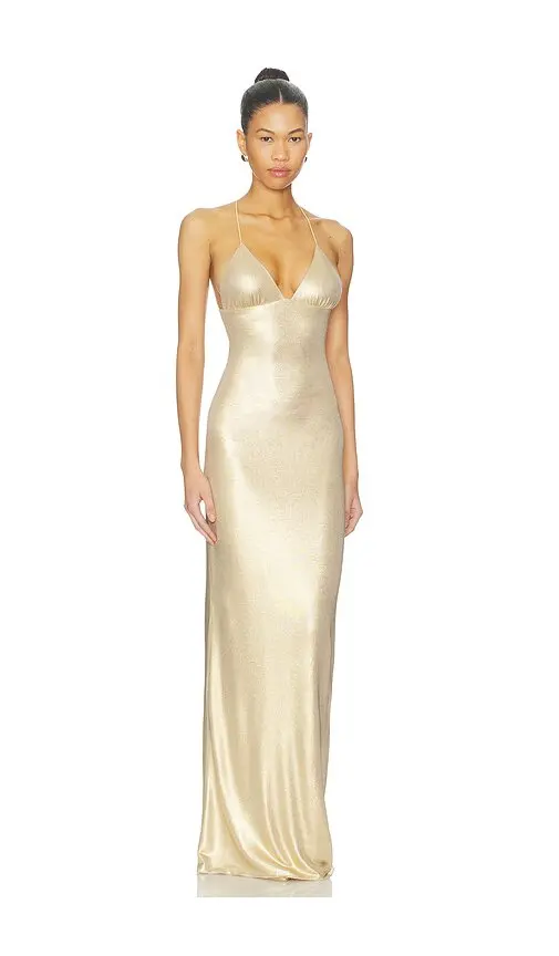 i am gia long dress Sashi Maxi Dress