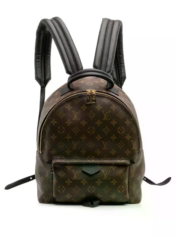 LOUIS VUITTON 2020 Monogram Palm Springs Mm Backpack - Brown