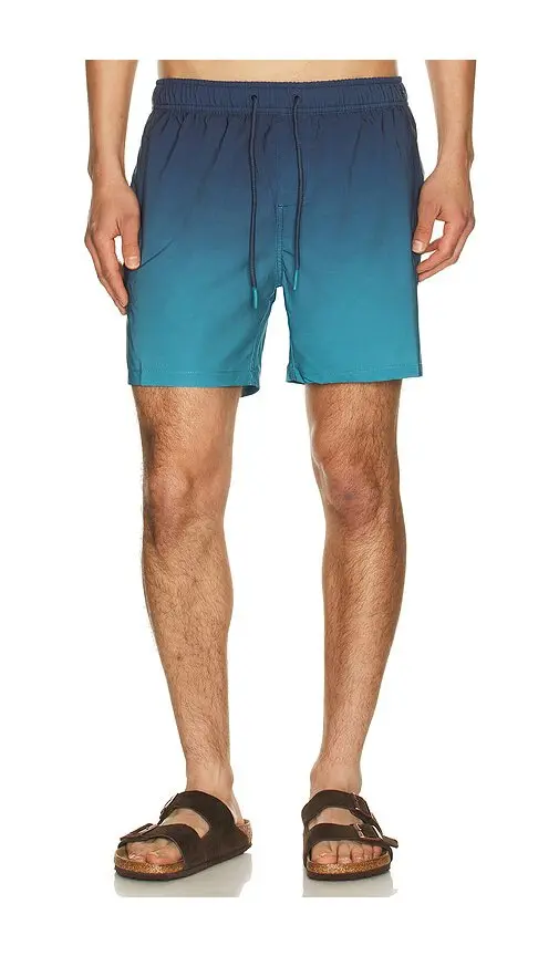 VINTAGE SUMMER Performance Stretch Lined Volleys - Blue