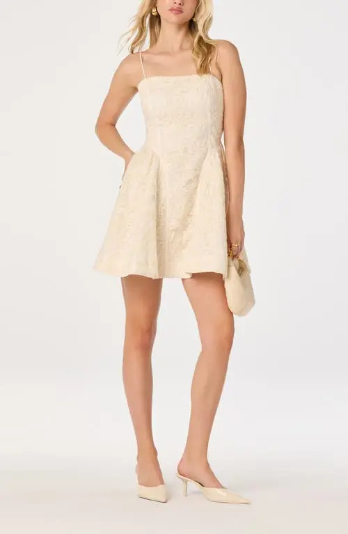Astr The Label Natalya Embroidered Lace Cotton Blend Minidress - Cream