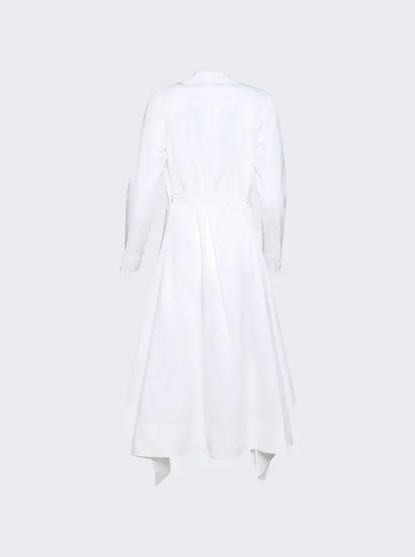 Loewe Draped Dress