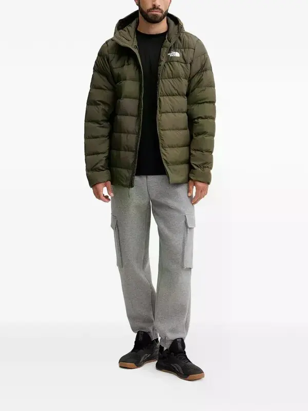 The North Face Hooded Puffer Jacket