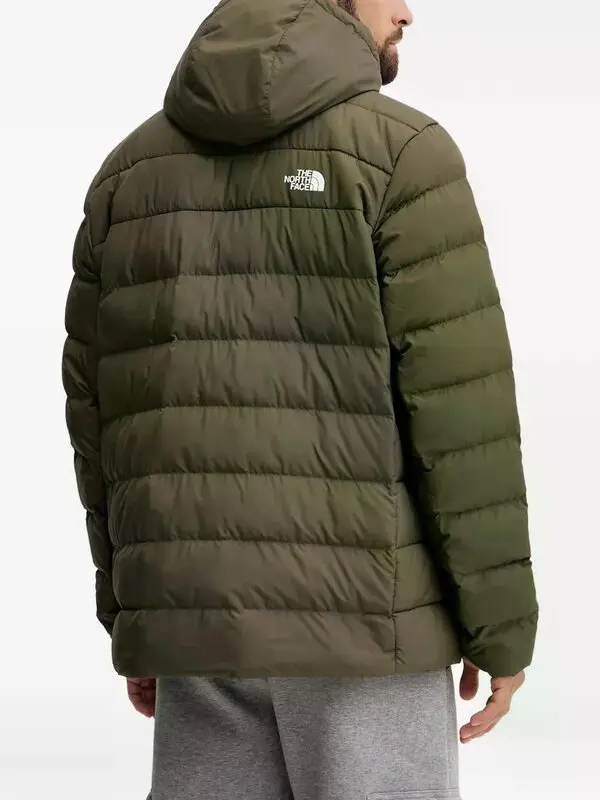 The North Face Hooded Puffer Jacket