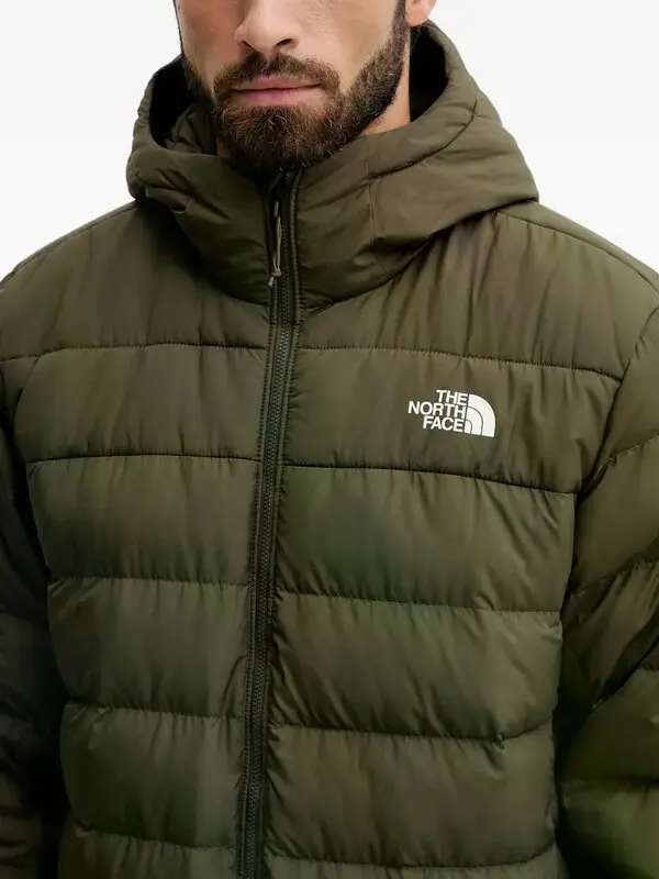 The North Face Hooded Puffer Jacket