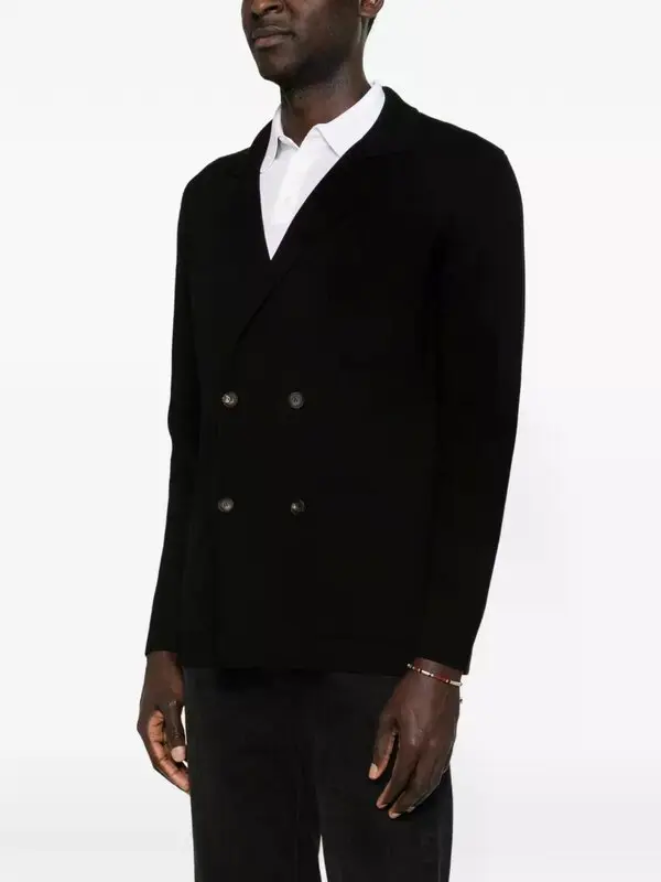 Tagliatore Willy Double-breasted Jacket