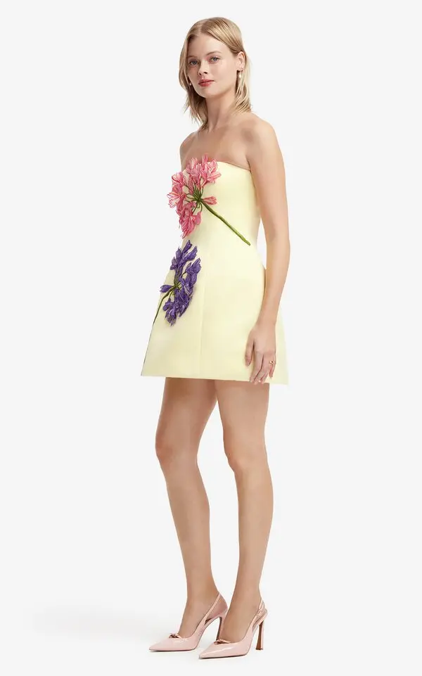 LEO LIN Roselle Applique Mini Dress