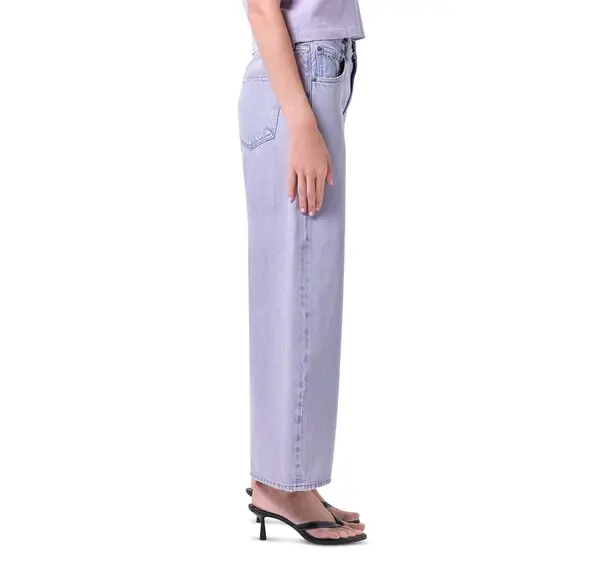 AGOLDE Low Curve High Rise Wide Leg Ankle Jeans