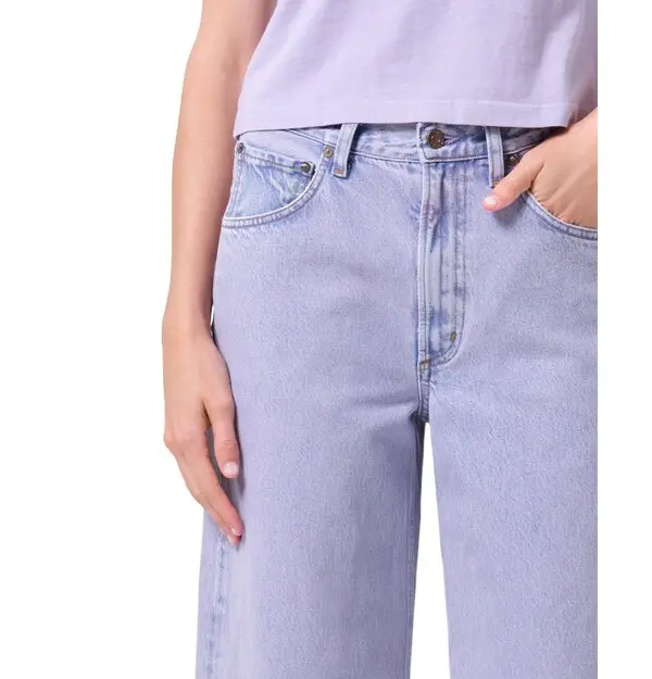 AGOLDE Low Curve High Rise Wide Leg Ankle Jeans