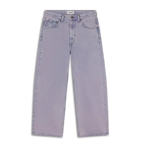AGOLDE Low Curve High Rise Wide Leg Ankle Jeans