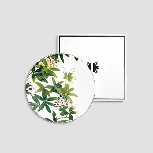 TOGAS Belize Plate