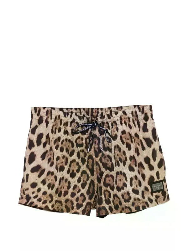 Dolce & Gabbana Leopard-print Swim Shorts - Brown