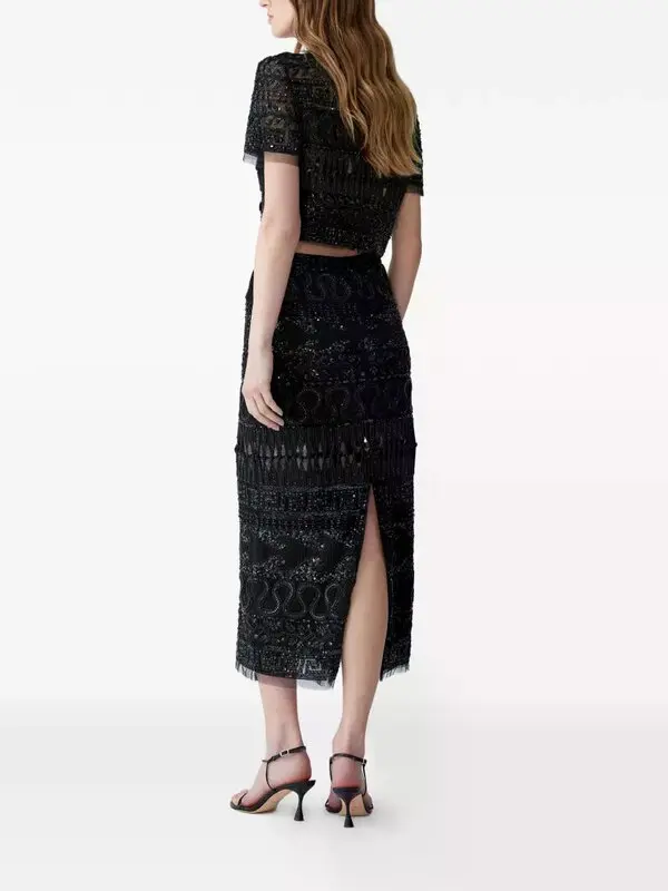 Carolina Herrera Embroidered Tulle Midi Skirt