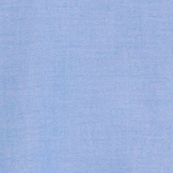 Max Mara Cotton Oxford Shirt - Blue