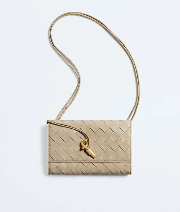 Bottega Veneta Andiamo Pouch On Strap - Ecru