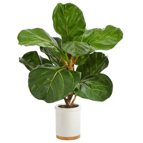 NEARLY NATURAL 21-in Fiddle Leaf Artificial Tree In White Ceramic Planter - Green