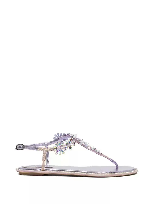 Rene Caovilla Diana Sandals - Purple