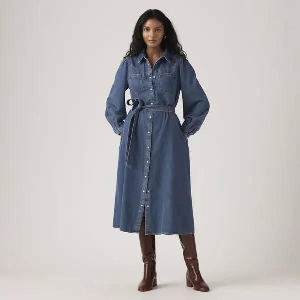 LEVI'S Journey Long-sleeve Maxi Dress